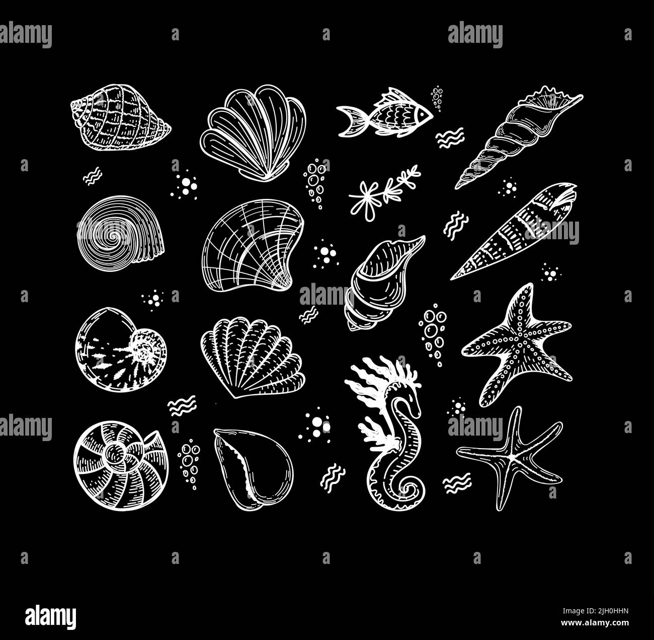 Set of sea creatures, hand-drawn in sketch style. Shells, seaweed, fish ...