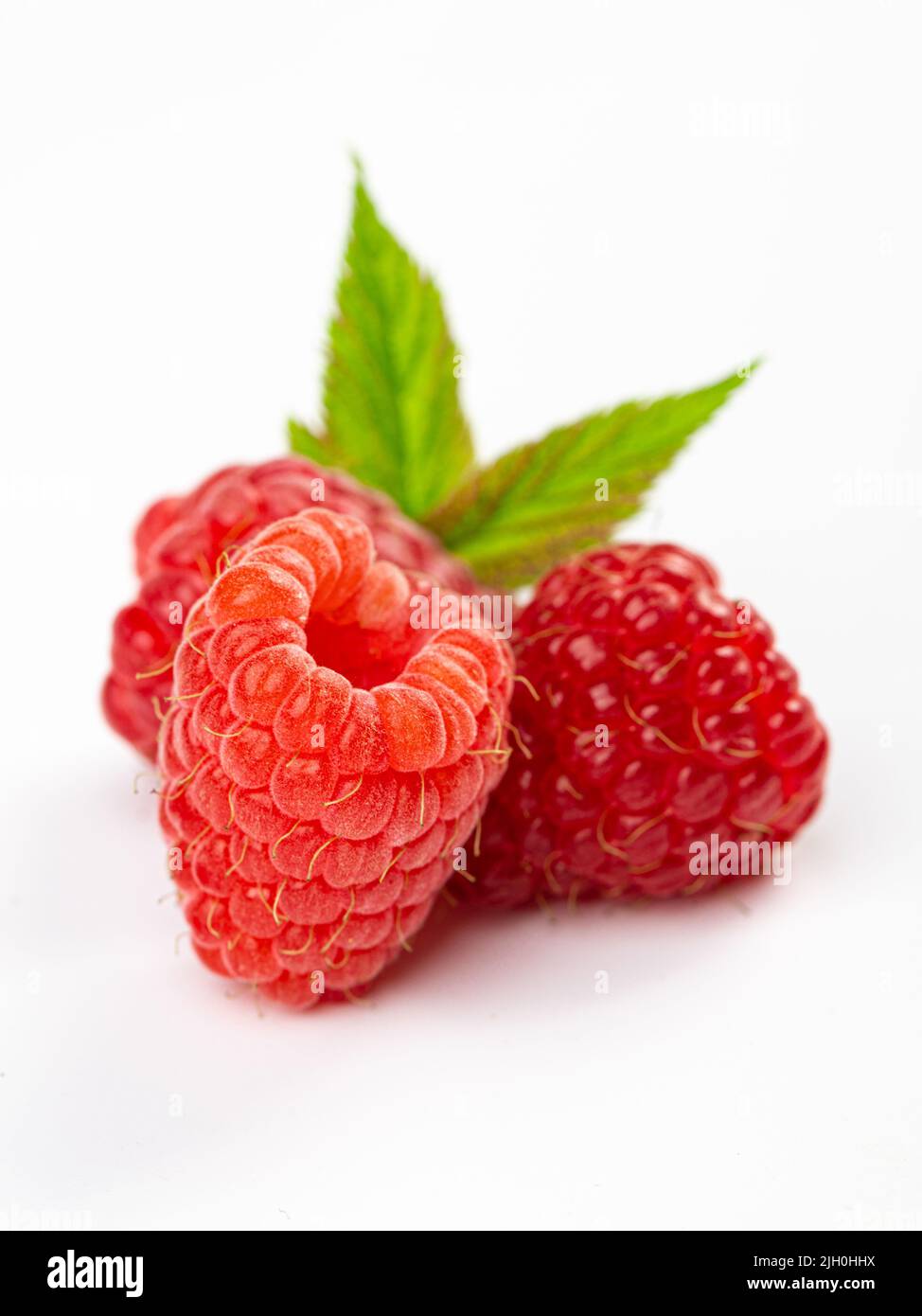 Fresh ripe raw red raspberries with green leaves in group closed up ...