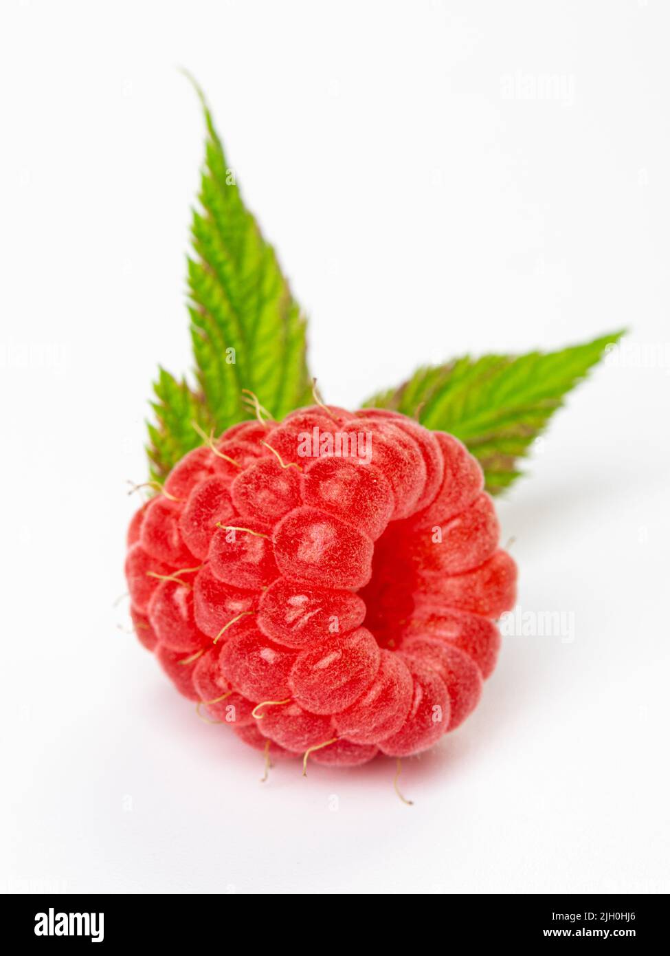 one berry Ripe raspberry with leaves isolated on white background Stock ...
