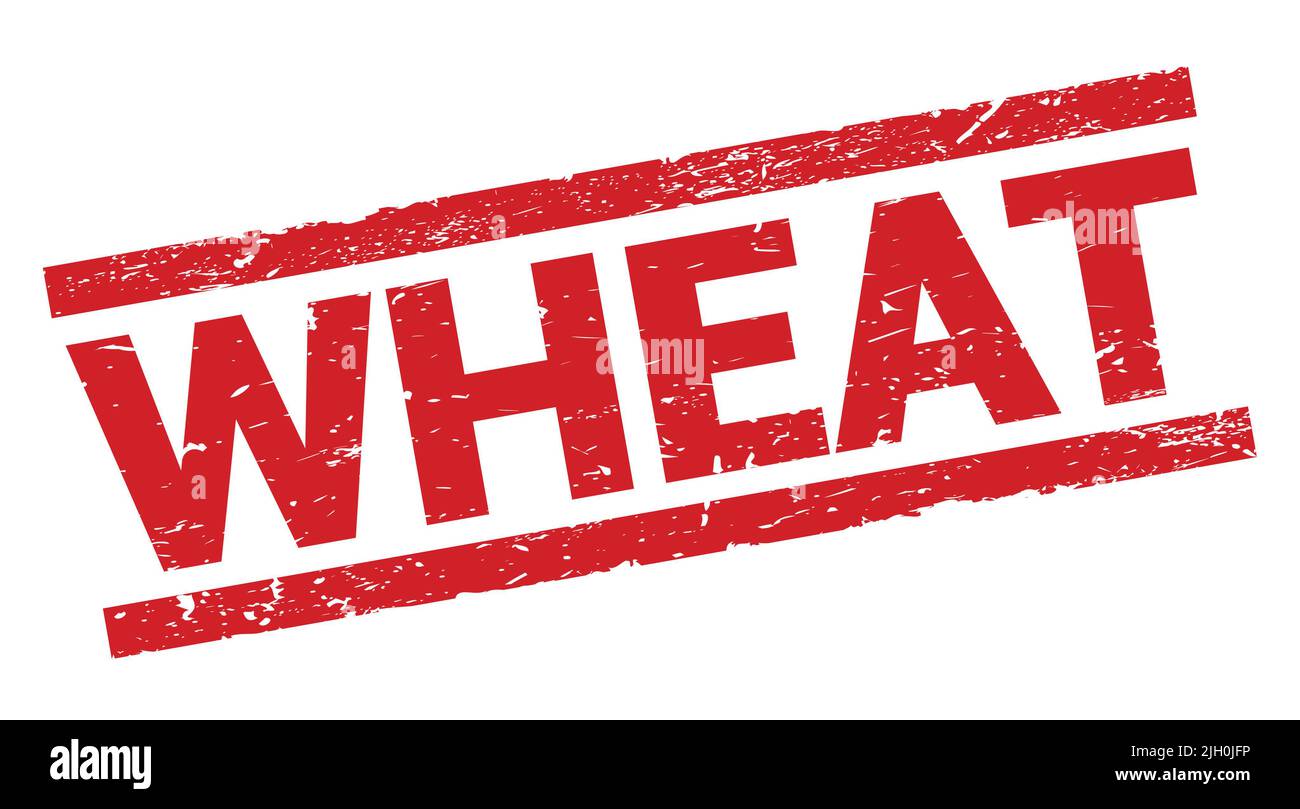 WHEAT text written on red rectangle stamp sign Stock Photo - Alamy