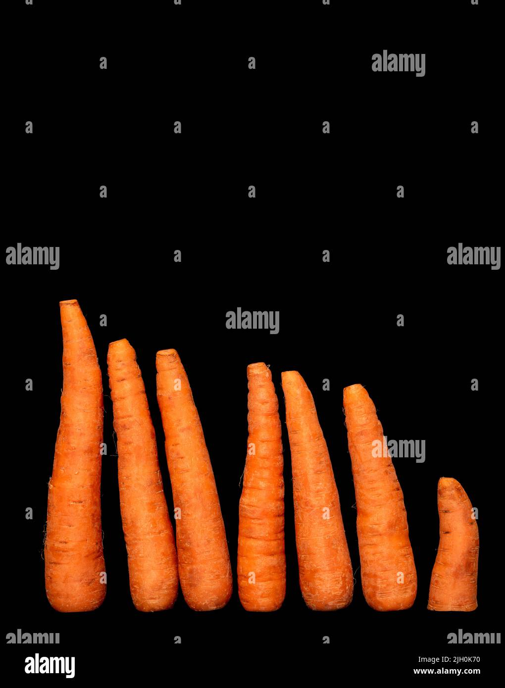 Image of ripe vegetable root vegetable carrot on black background Stock ...
