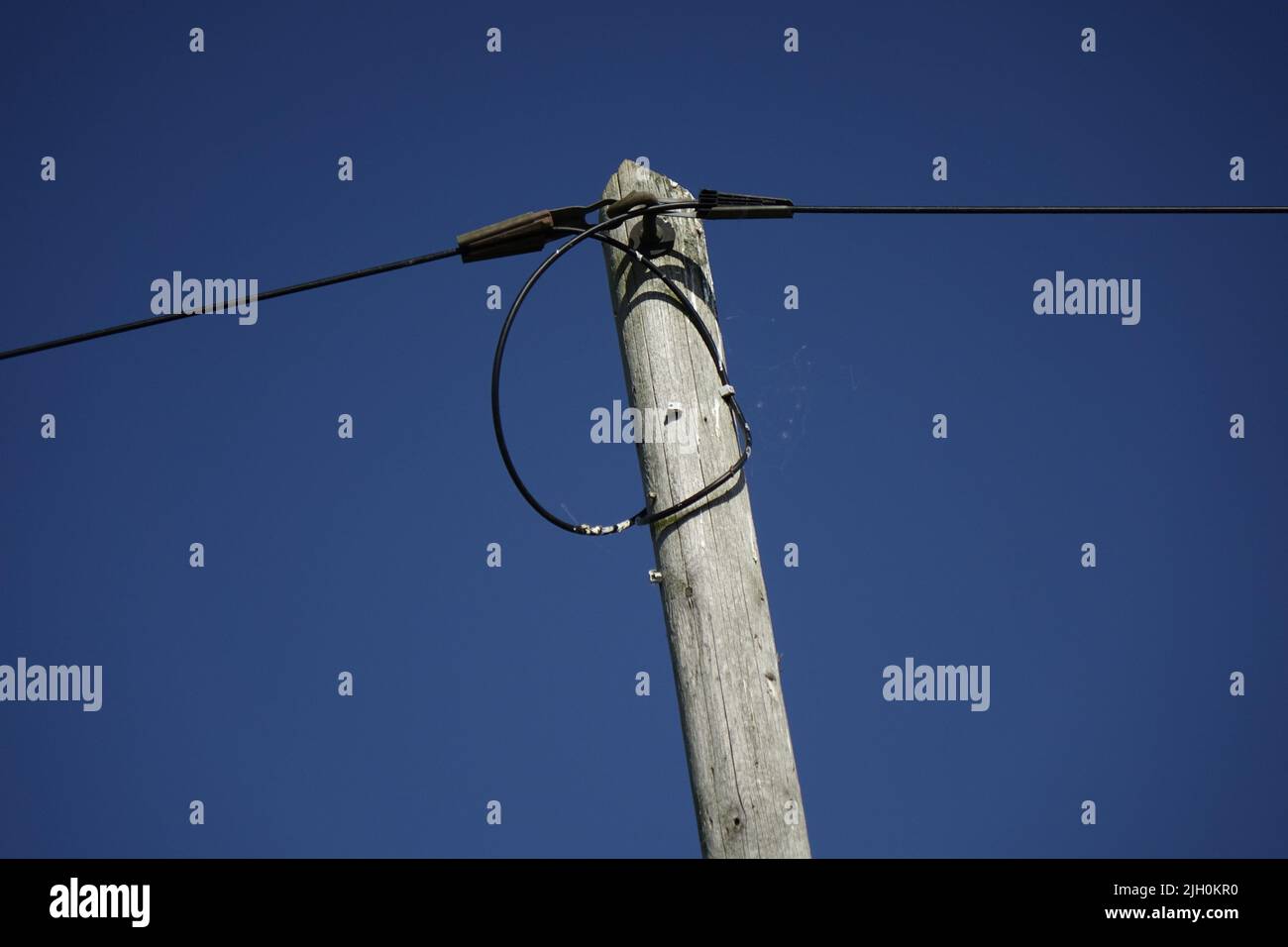 Wires and top of old wooden telegraph pole plus small cobbweb on the ...