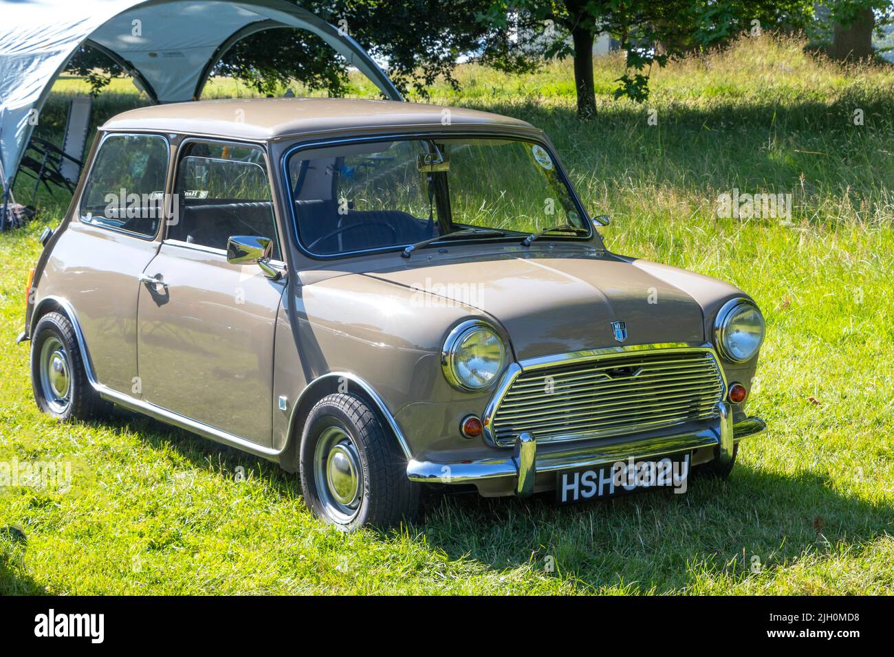 fawn or beige coloured classic austin mini Stock Photo - Alamy
