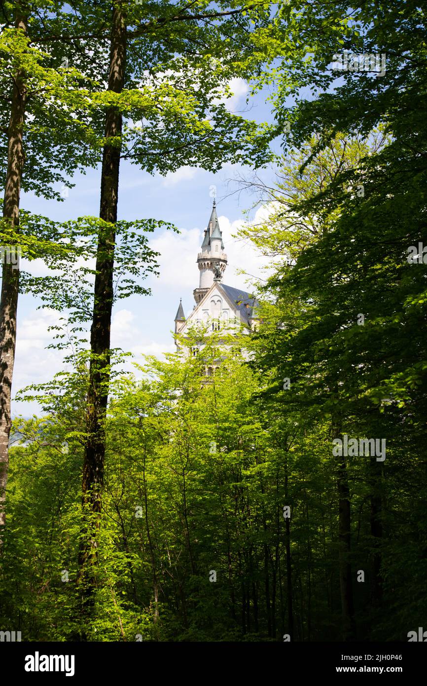 Picturesque spring landscape with the Neuschwanstein Castle, Germany ...