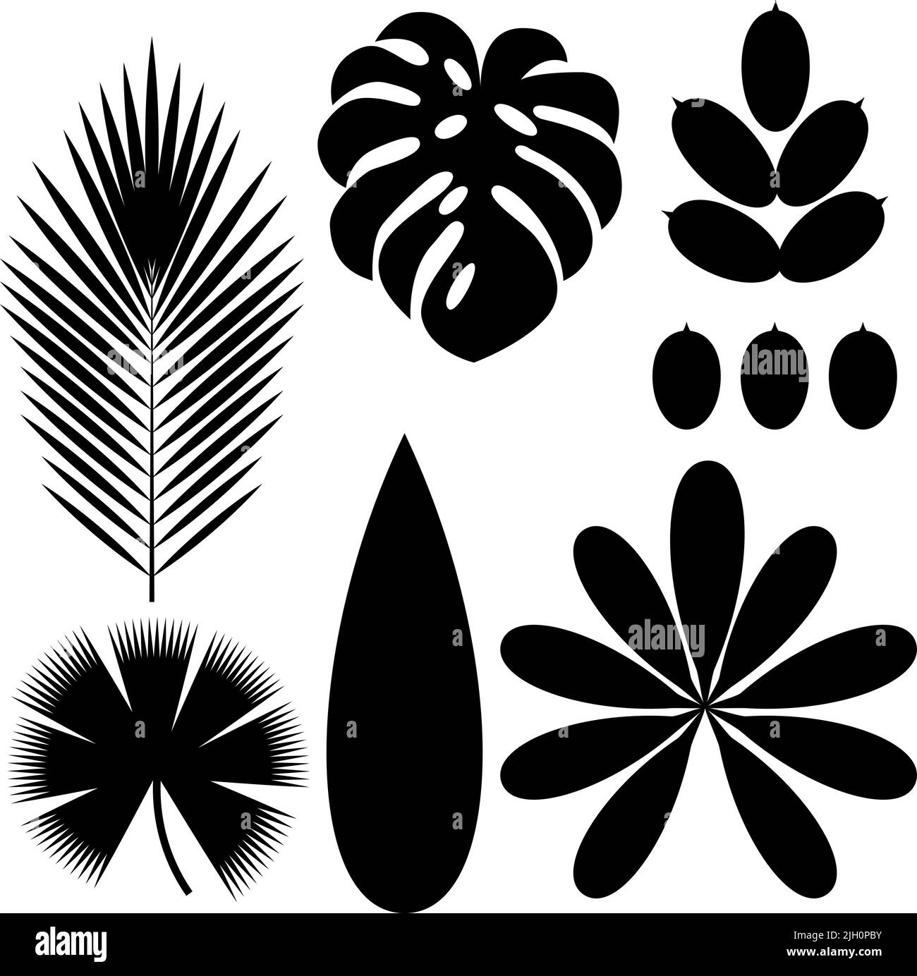 Leaves of tropical plants. Isolated items. Monstera, ficus, palm, tree ...