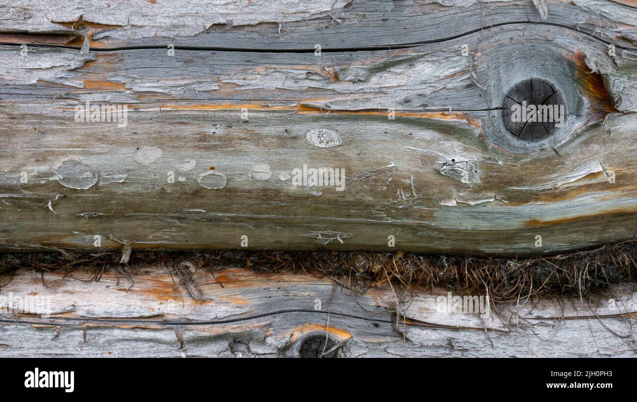 Close up brown Wooden planks texture. Old slab background. Natural ...