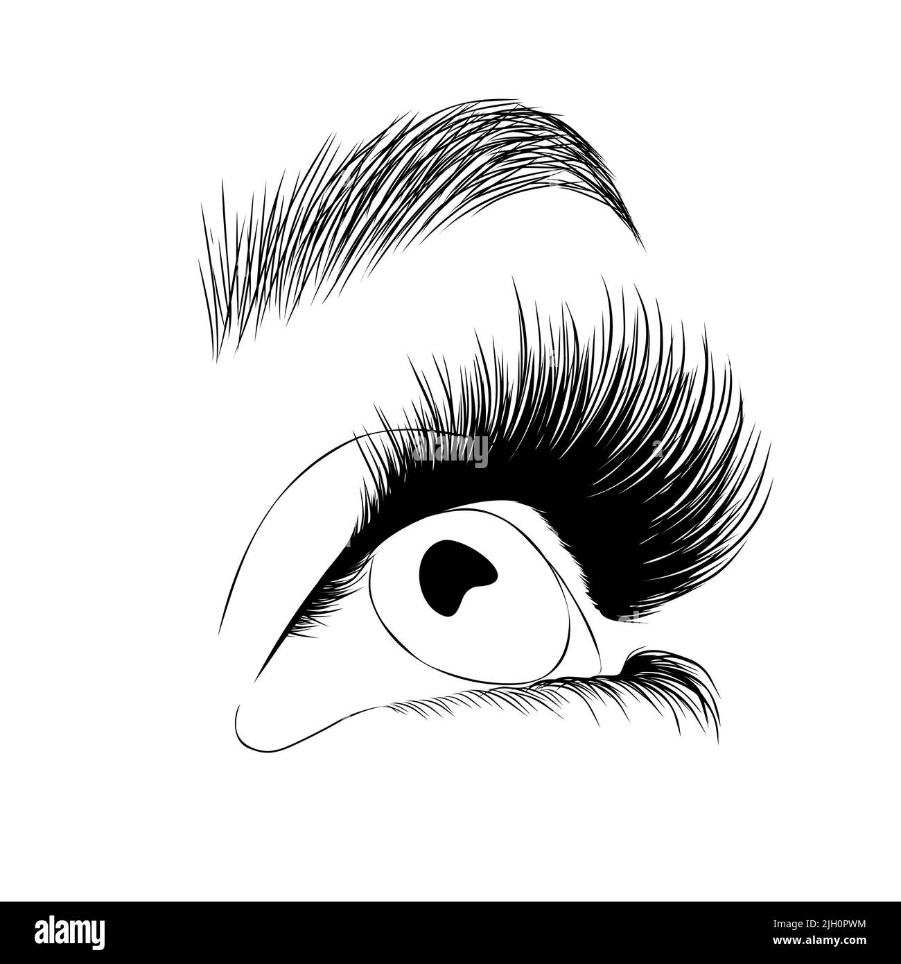 Realistic lashes on white background. Female open eyes and brows ...