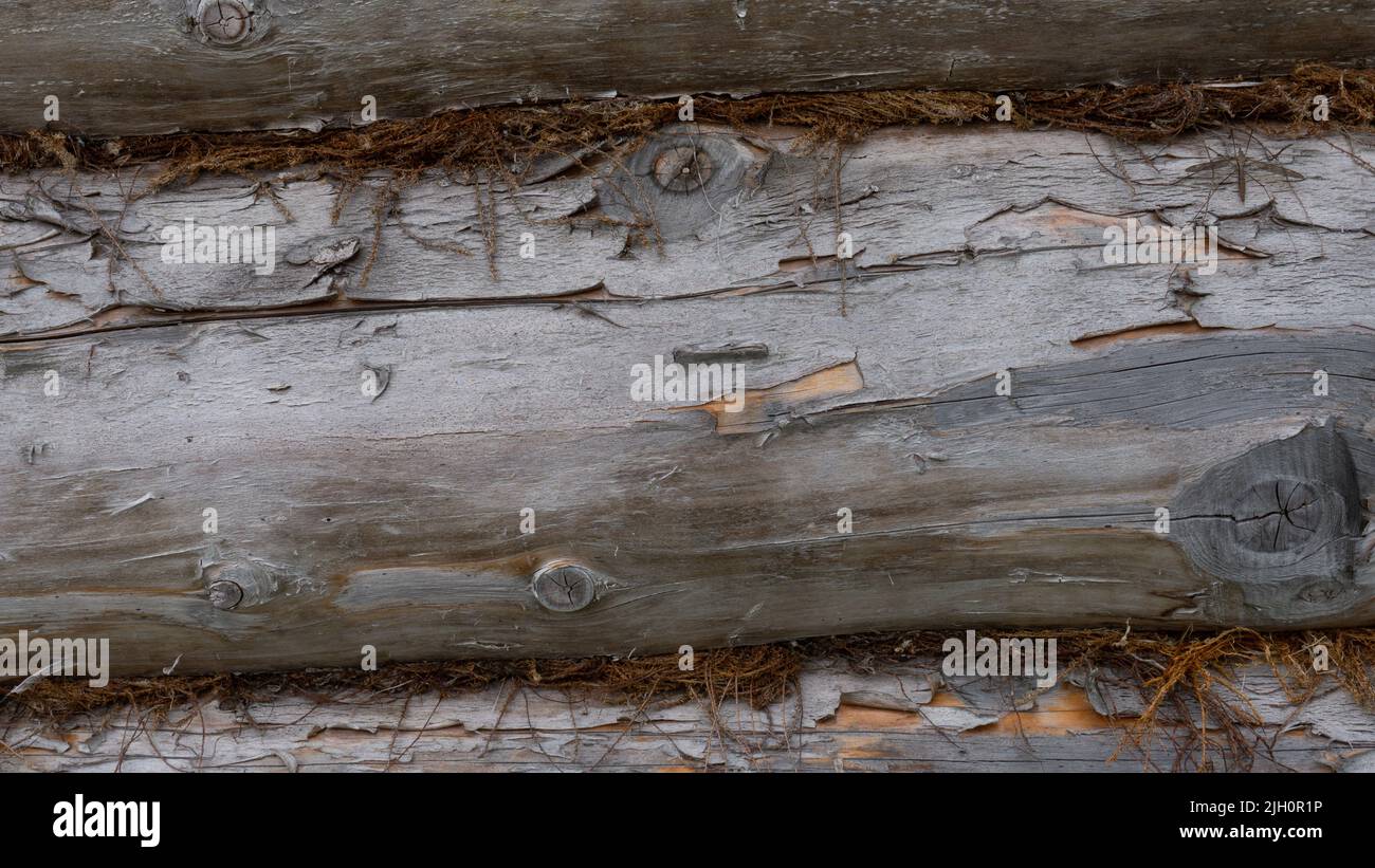 Close up brown Wooden planks texture. Old slab background. Natural ...
