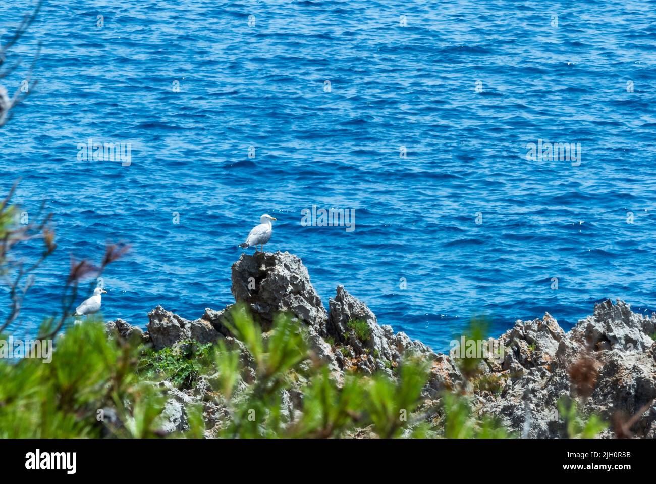 sea, cliffs and beaches in the Quakes islands with a Caribbean sea ...