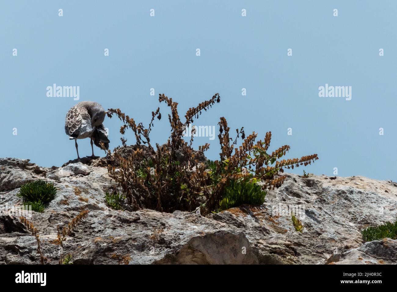 sea, cliffs and beaches in the Quakes islands with a Caribbean sea ...