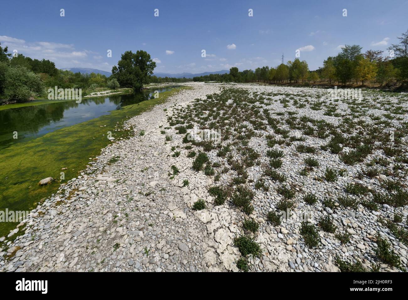 Algae invade the river with little water causing drought Stock Photo ...