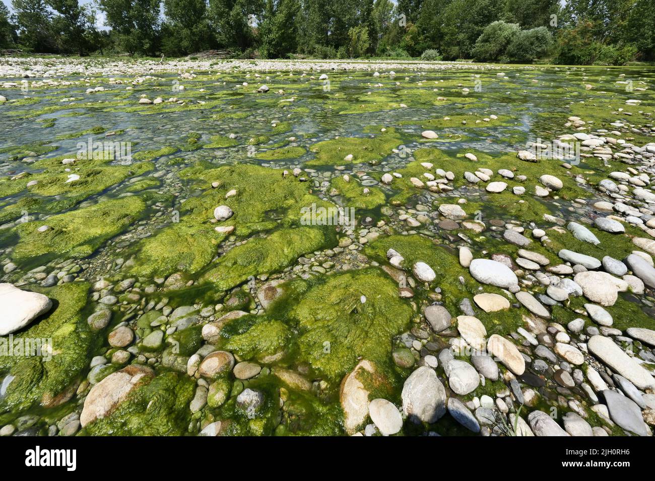 Causing drought hi-res stock photography and images - Alamy