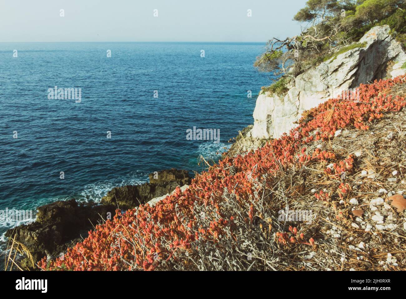 sea, cliffs and beaches in the Quakes islands with a Caribbean sea ...
