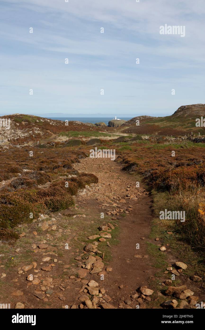 Strumble Head lighthouse, Pembrokeshire, Wales, UK Stock Photo - Alamy