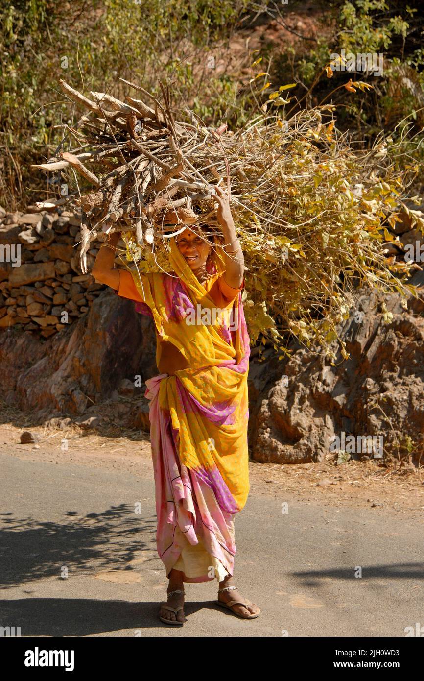 India rajasthan village on road hi-res stock photography and images - Alamy