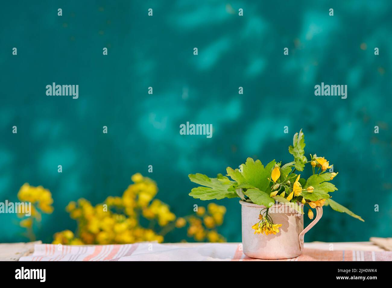 Lilac flower spring background. Cottagecore aesthetics concept. Copy ...