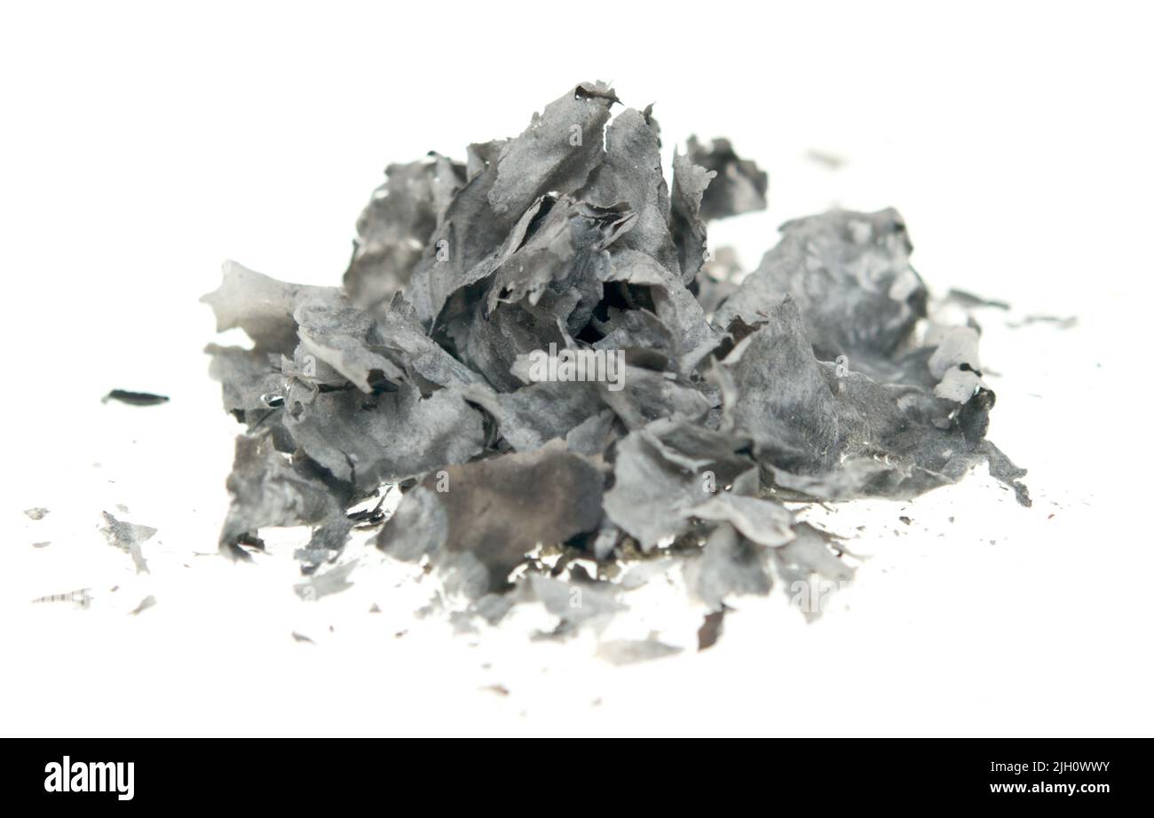 Ash isolated on white background Stock Photo - Alamy