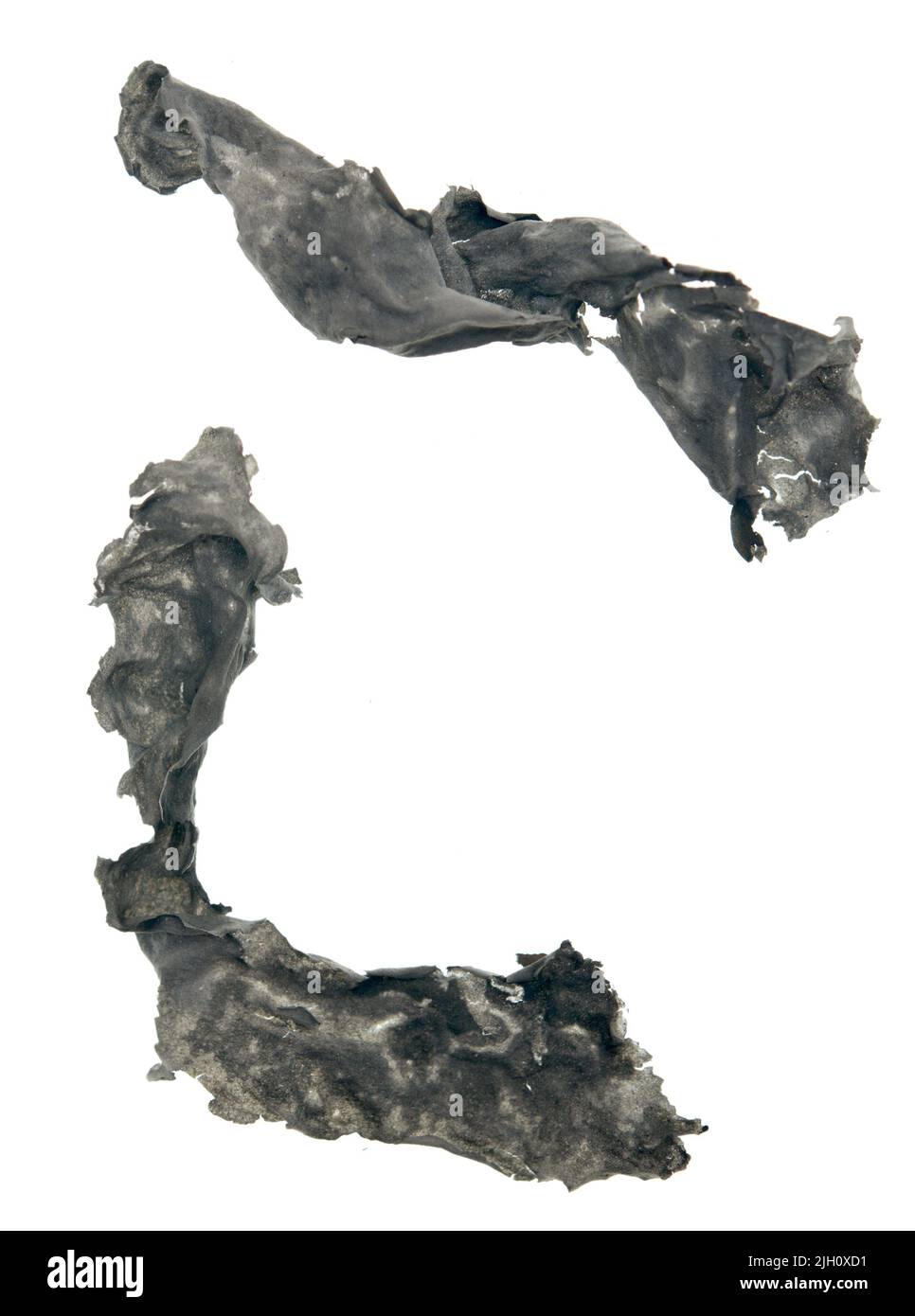 Ash isolated on white background Stock Photo - Alamy