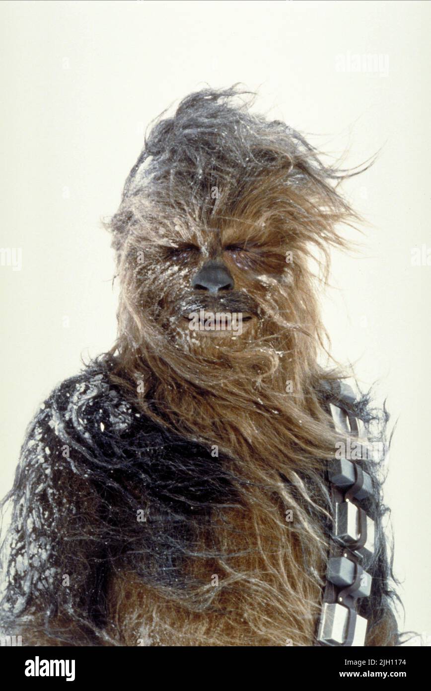 PETER MAYHEW, STAR WARS: EPISODE V - THE EMPIRE STRIKES BACK, 1980 ...