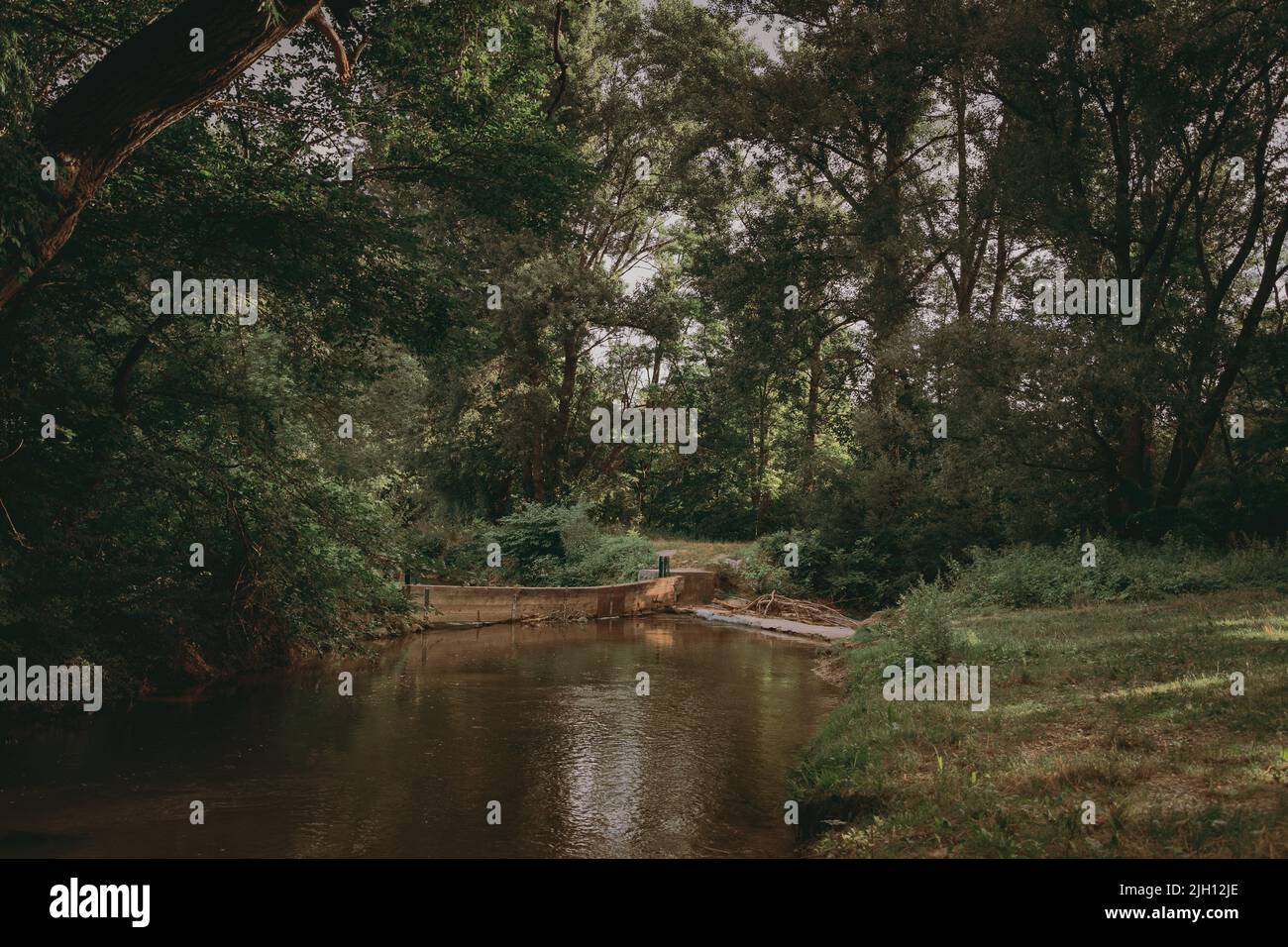 a small dam with water in between trees Stock Photo - Alamy