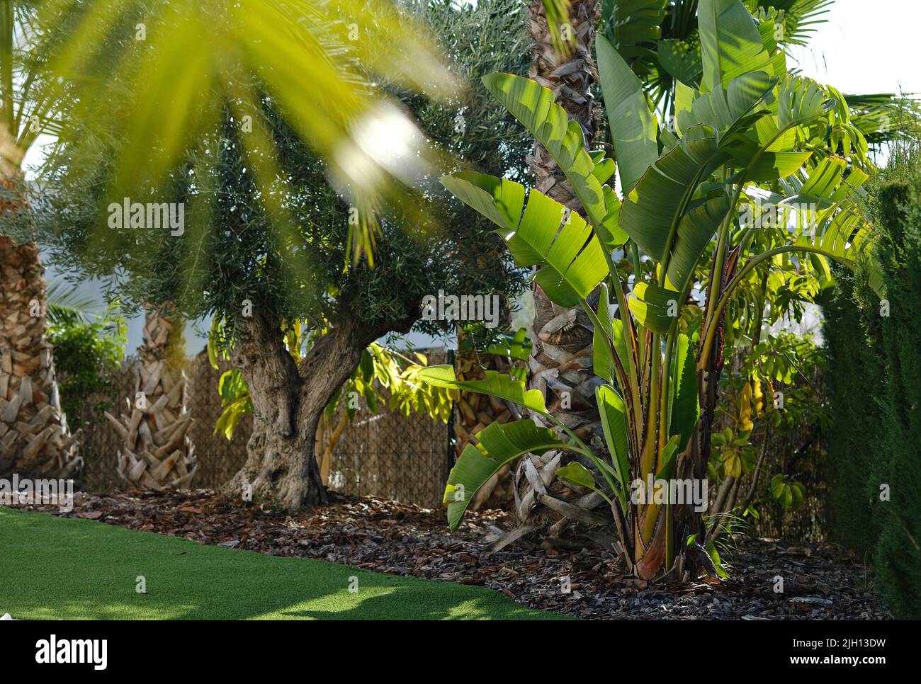A beautiful view of the lush tropical bushes and trees outdoor in Spain ...