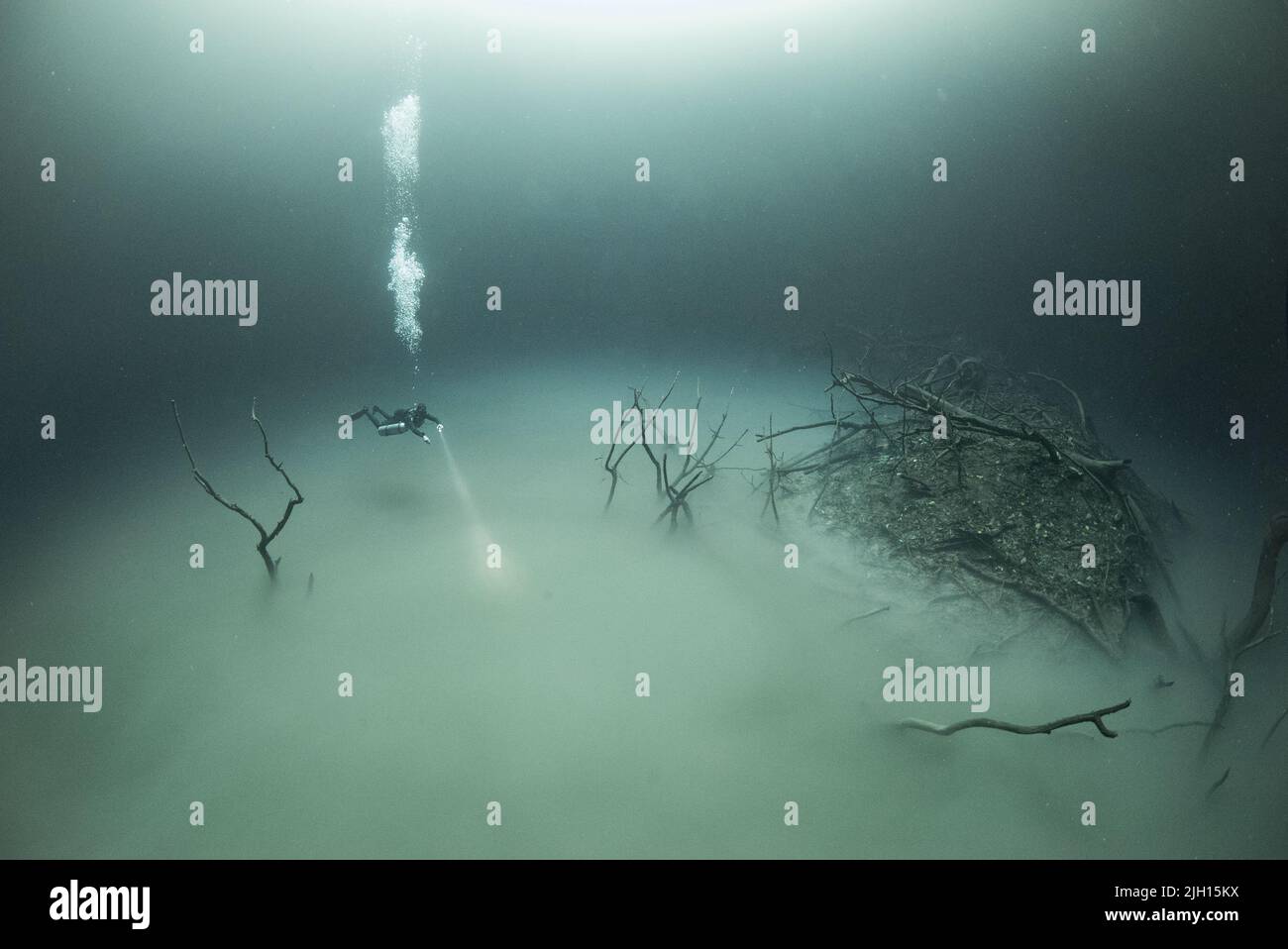 The fog is caused by decomposing vegetation. Yucatan, Mexico: CHILLING ...