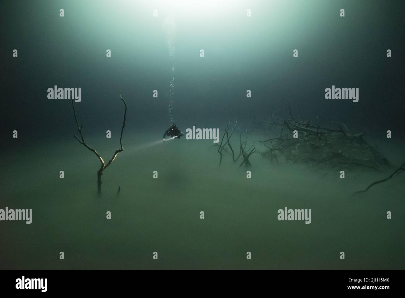 These pictures were taken by Francis Perez. Yucatan, Mexico: CHILLING ...