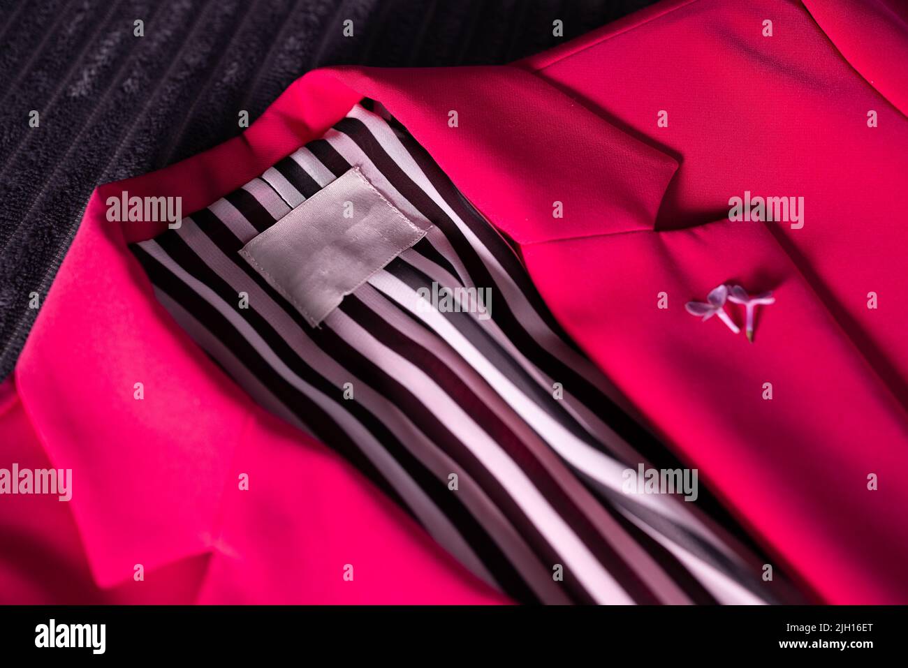 mockup label for a jacket in a bright style. blank label for logo or ...