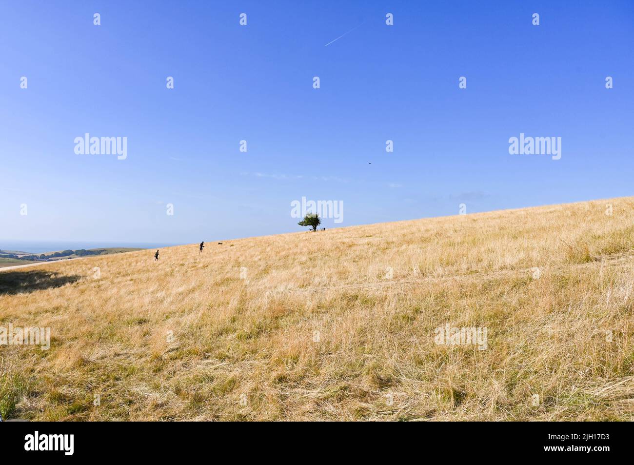 Drought uk 2022 farm hi-res stock photography and images - Alamy