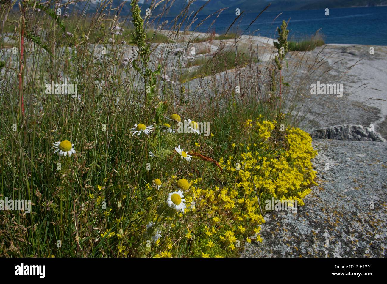 Relaxing view in the morning in the middle of nature in Norway, Bognes ...
