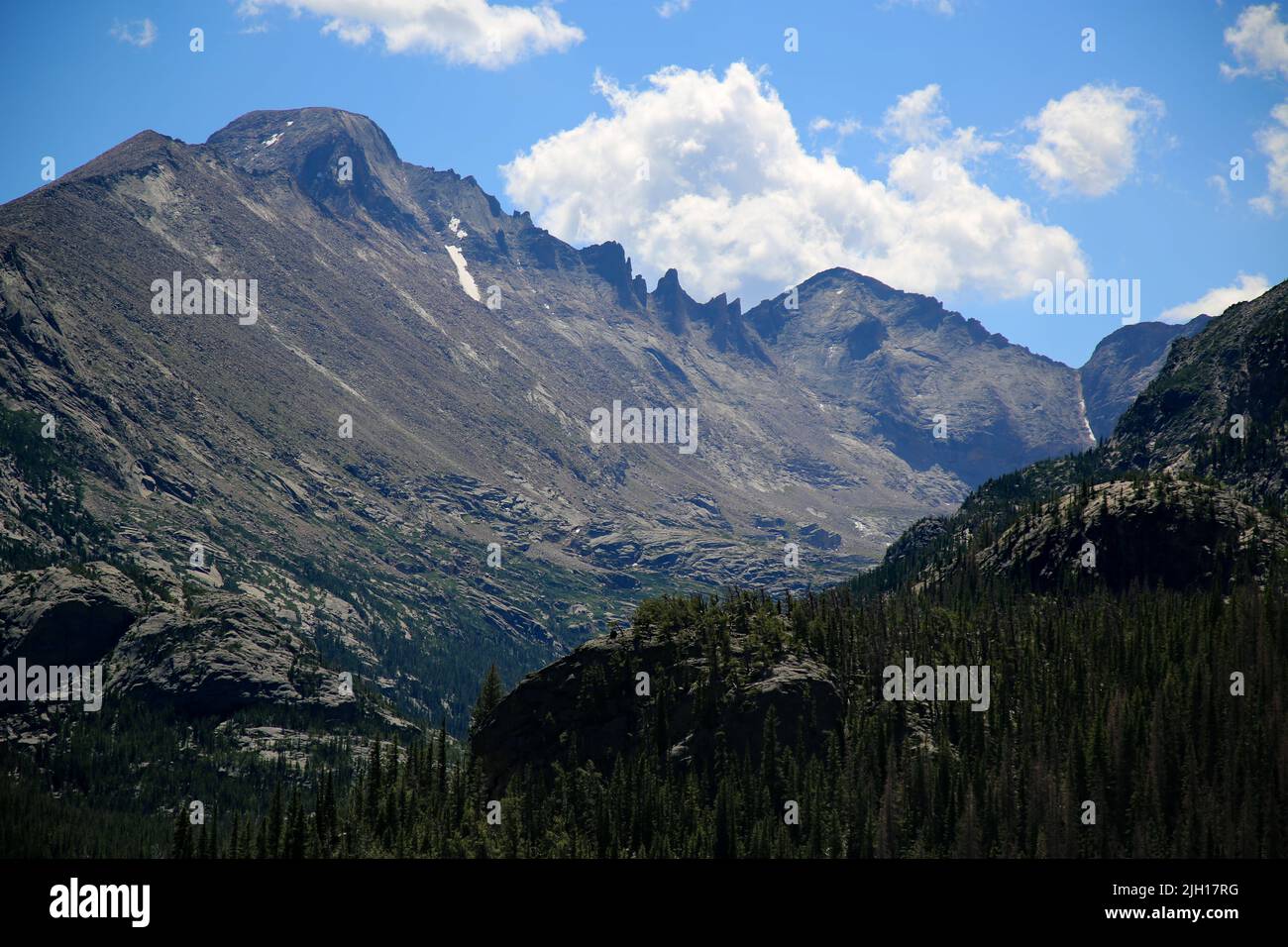 An aerial view of green pine forests on a slope of Rocky Mountains in ...