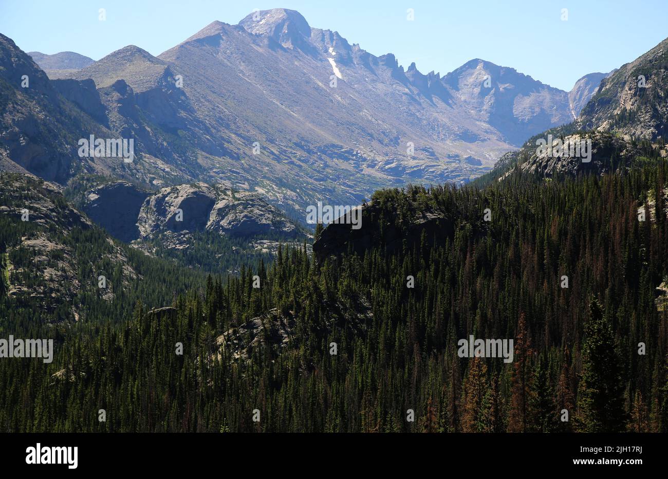 An aerial view of green pine forests on a slope of Rocky Mountains in ...