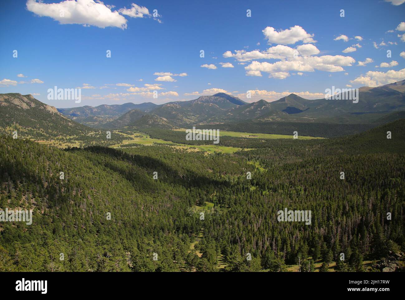 An aerial view of green pine forests on a slope of Rocky Mountains in ...