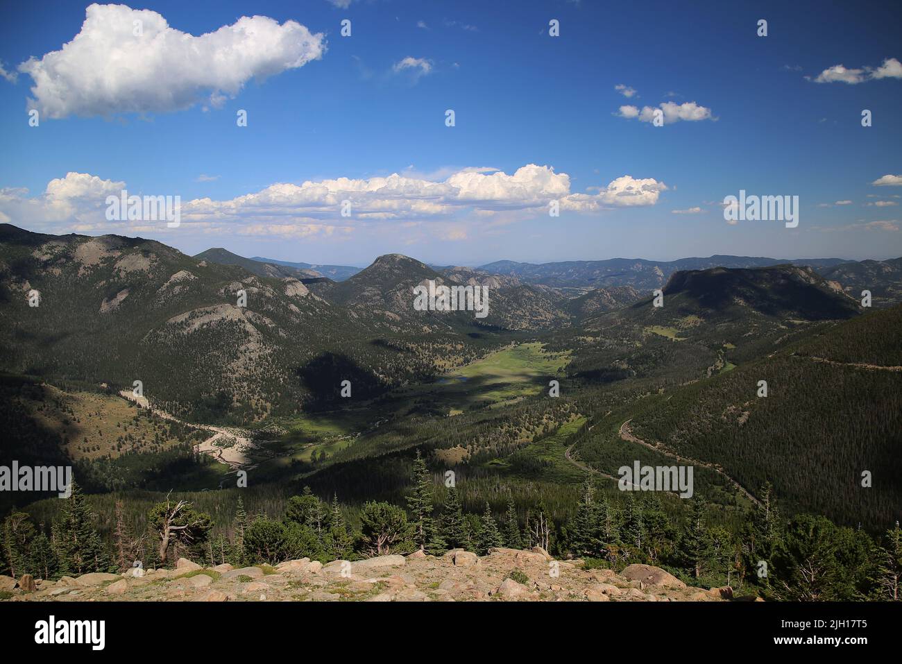 An aerial view of green pine forests on a slope of Rocky Mountains in ...