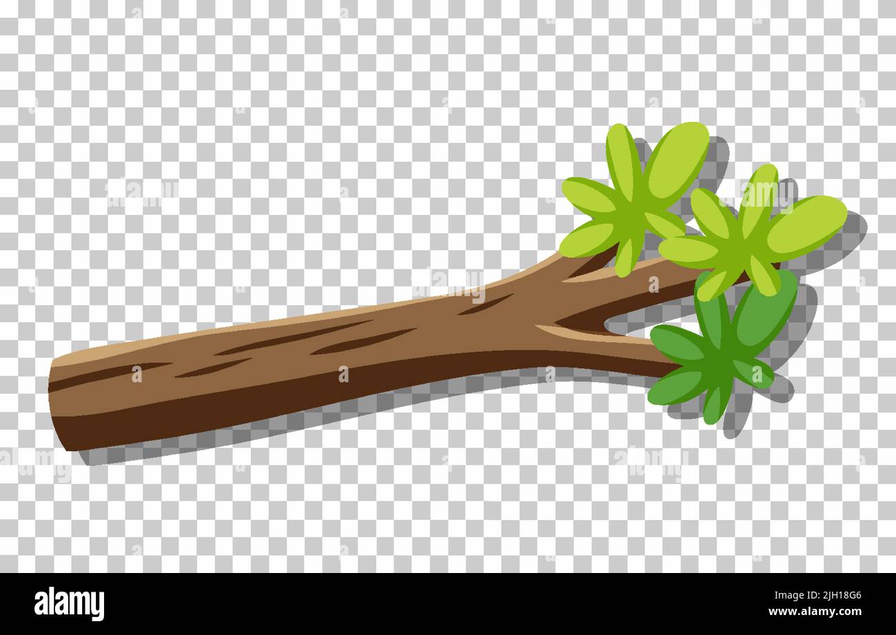 Isolated branch of tree illustration Stock Vector Image & Art - Alamy