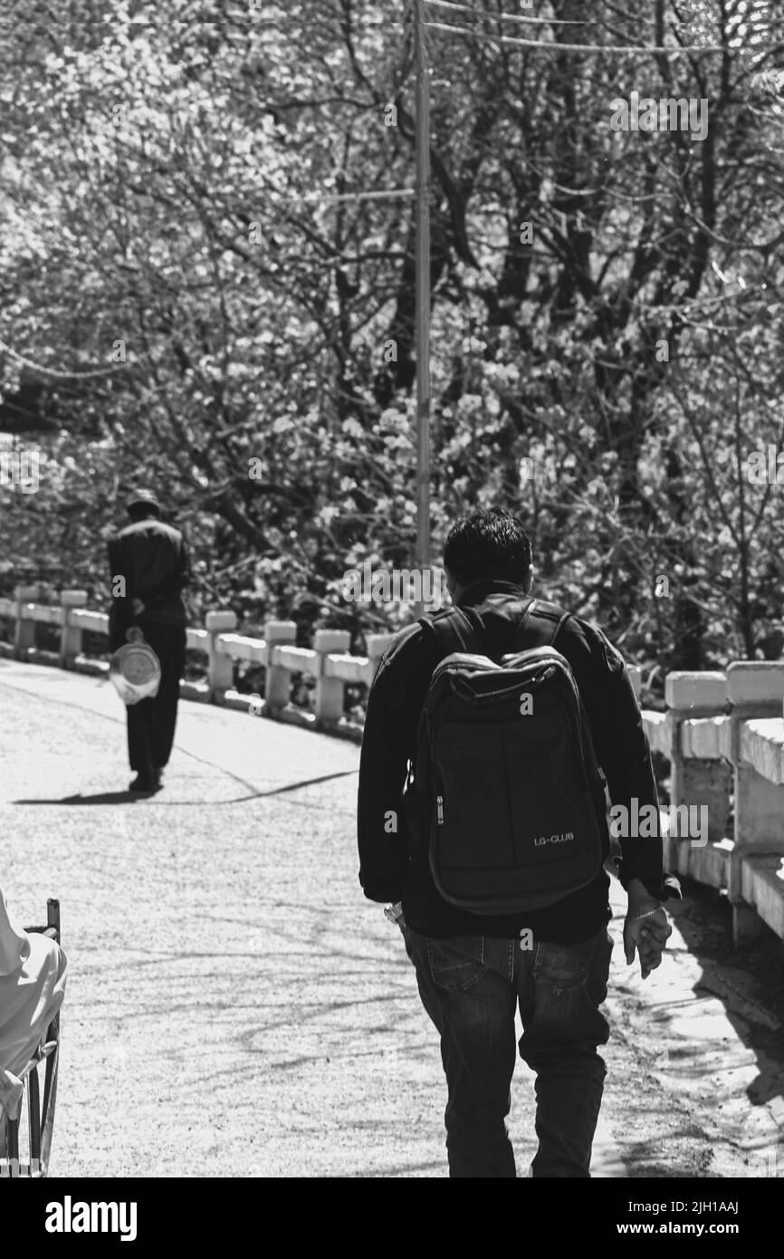 A vertical shot of back view of people walking through footpath ...