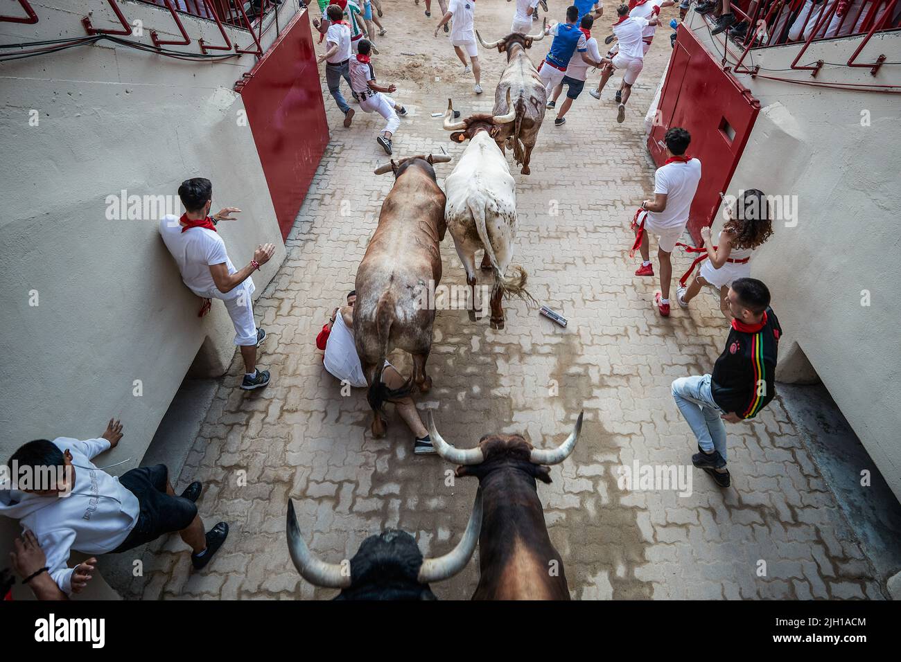Ranch miura hi-res stock photography and images - Alamy