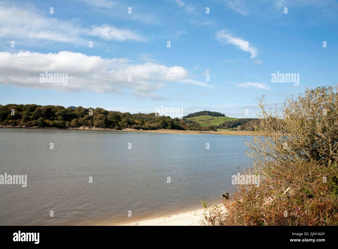 he coast at Kippford or Scaur Dumfries and Galloway Scotland Stock ...