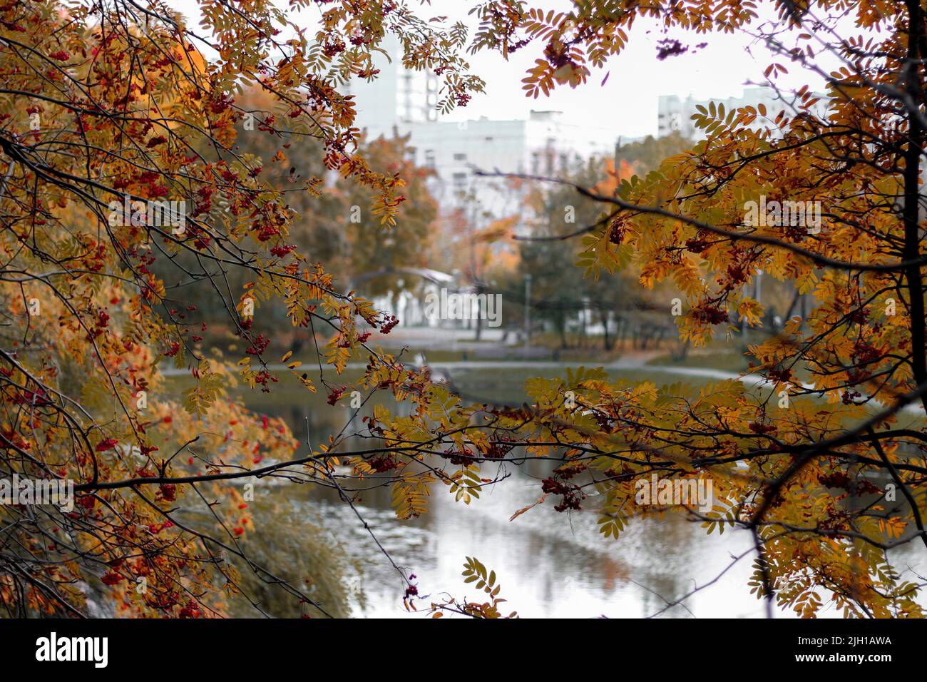 Sad Autumn Season Wallpaper