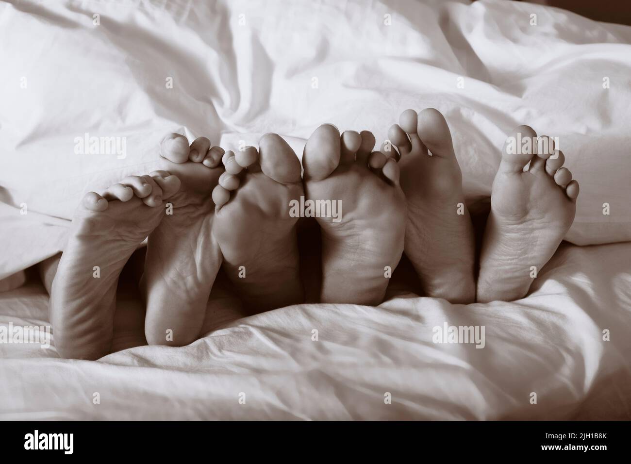Feet of three people lying in a bed Stock Photo - Alamy