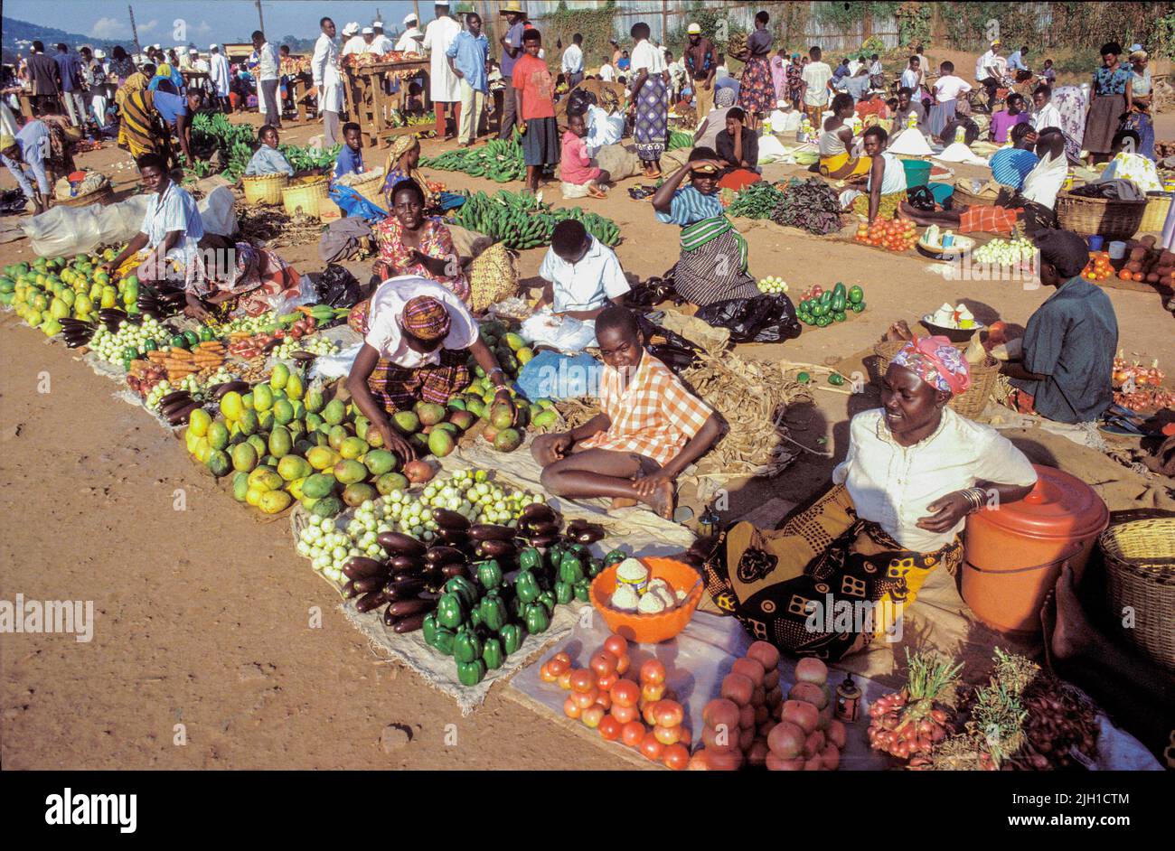 Uganda, Kampala; market at the edge of the city where women are selling ...