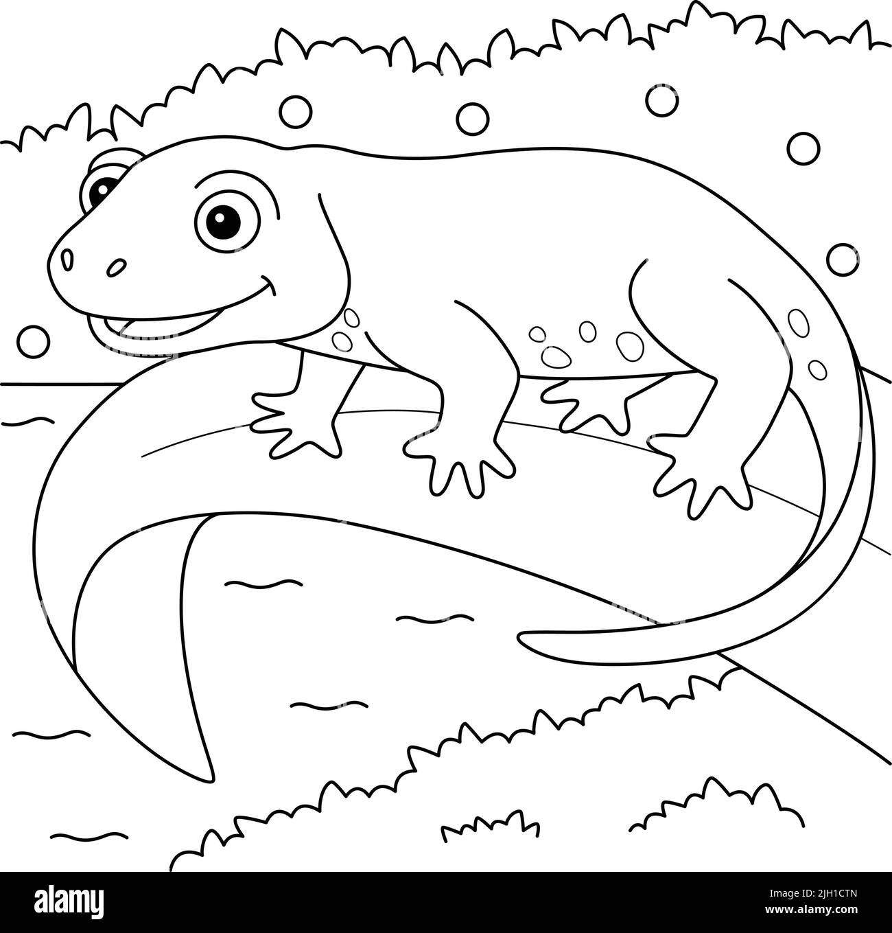 Lizard Drawings For Kids