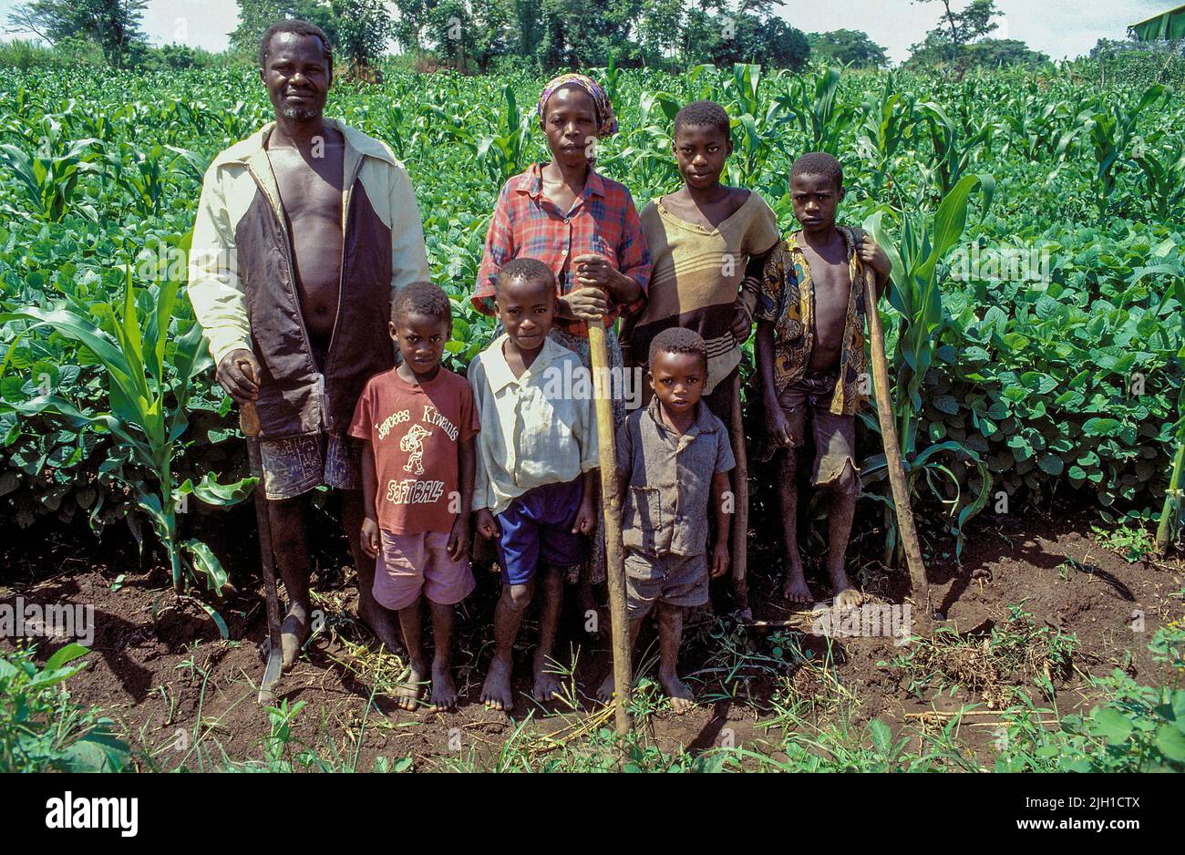 Uganda, Kampala region; a family of farmers posing on their land Stock ...
