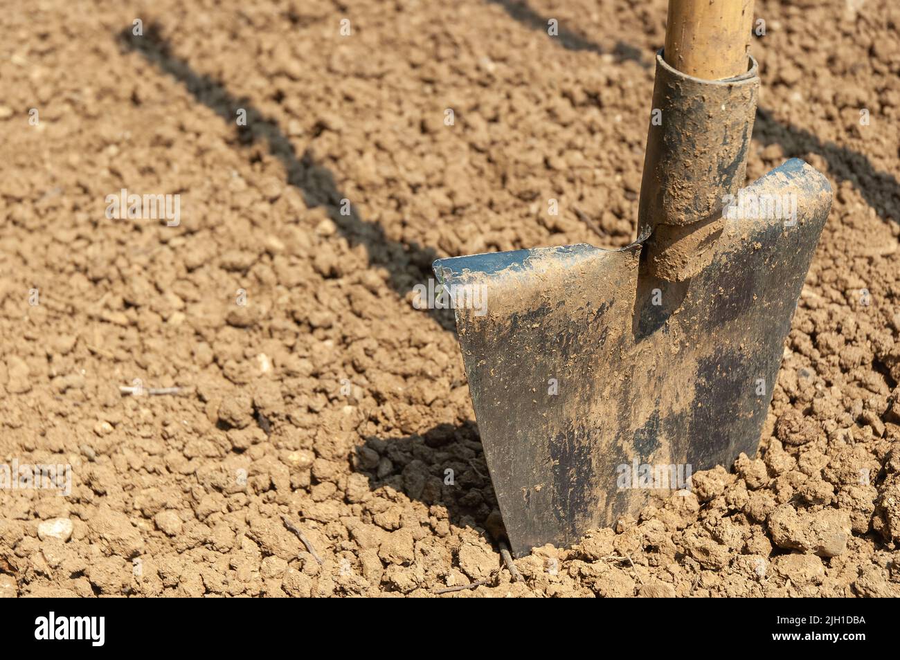 A closeup of shovel stuck in sandy ground Stock Photo - Alamy