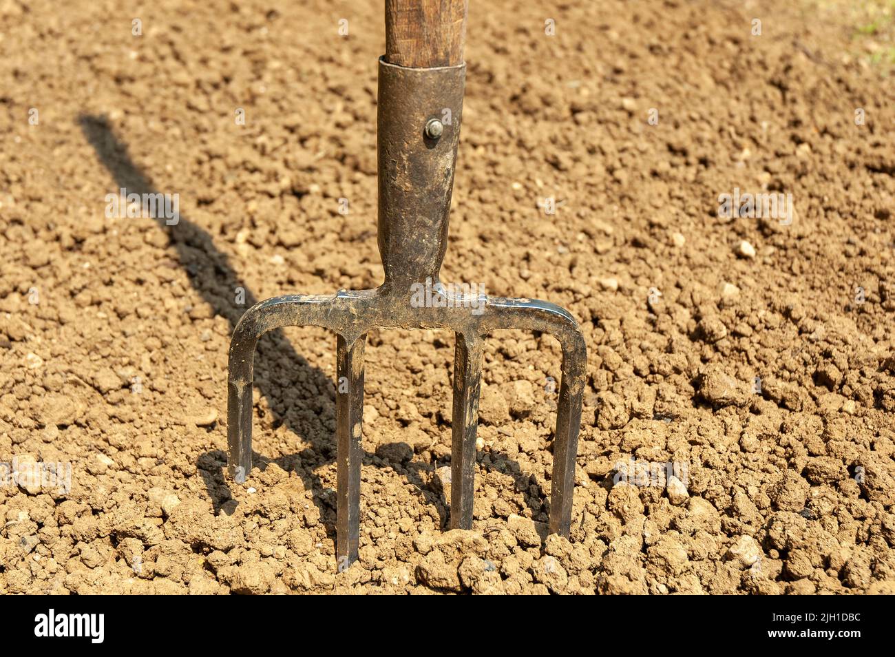 A closeup of pitchfork stuck in sandy ground Stock Photo - Alamy