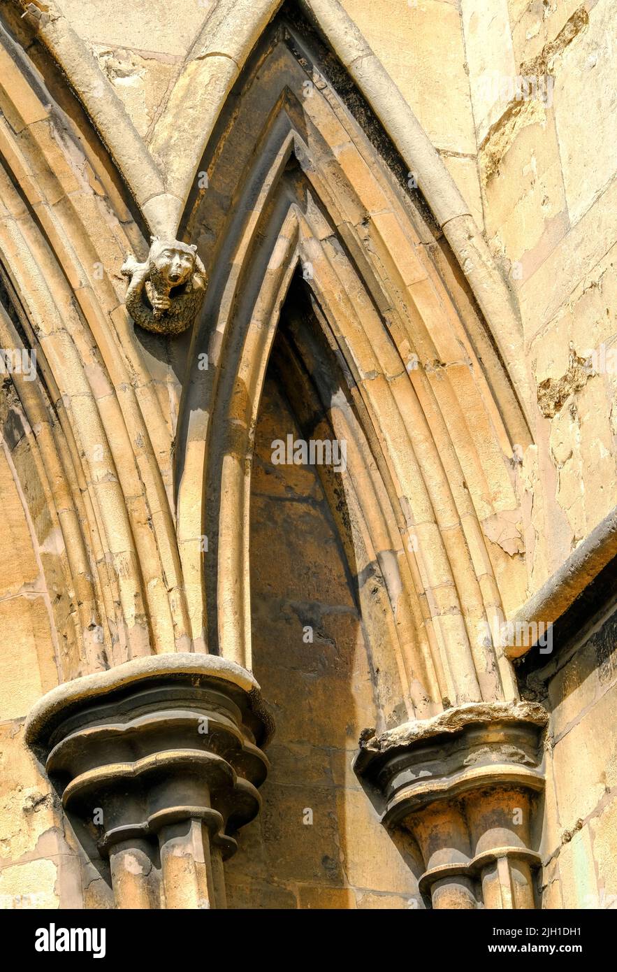 Lincoln gargoyle hi-res stock photography and images - Alamy