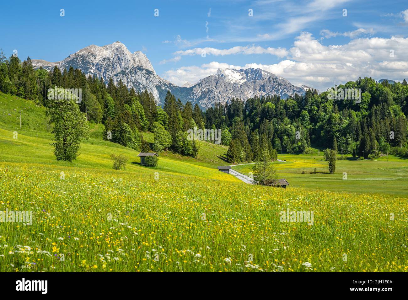 Alpine huts in an idyllic blooming meadow in early summer, in the ...