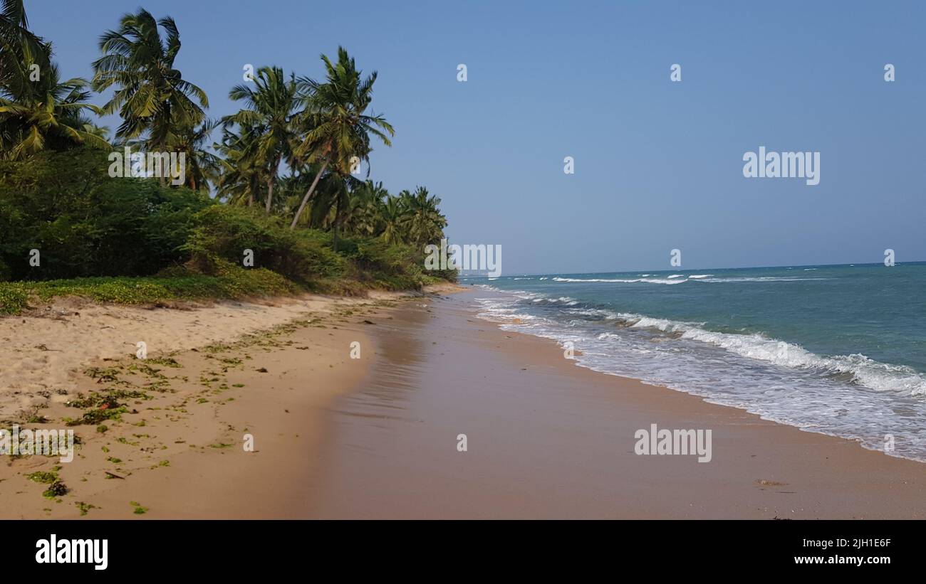The beautiful beach view with palm trees - ocean waves reaching the ...