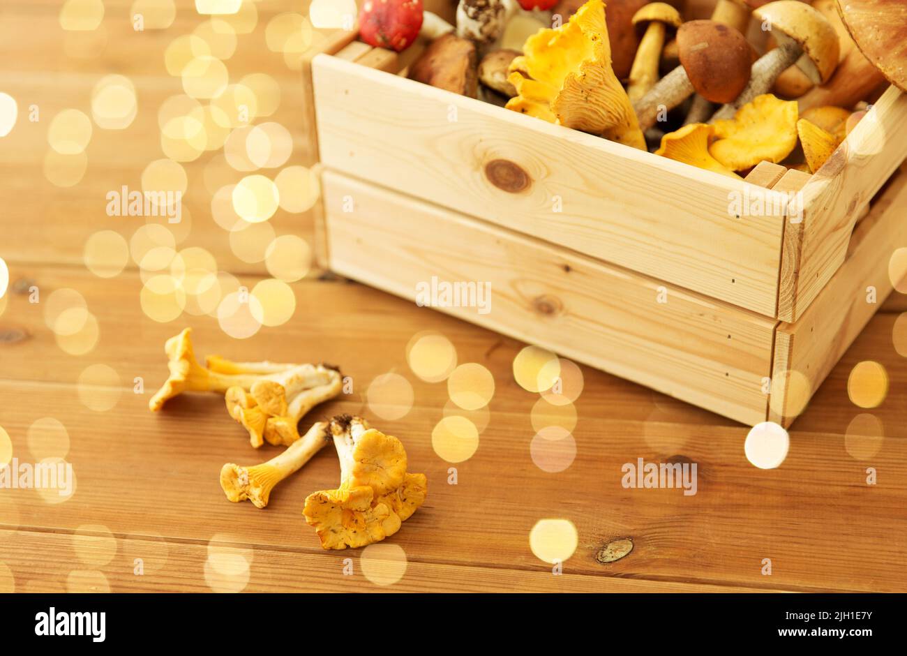 wooden box of different edible mushrooms Stock Photo - Alamy