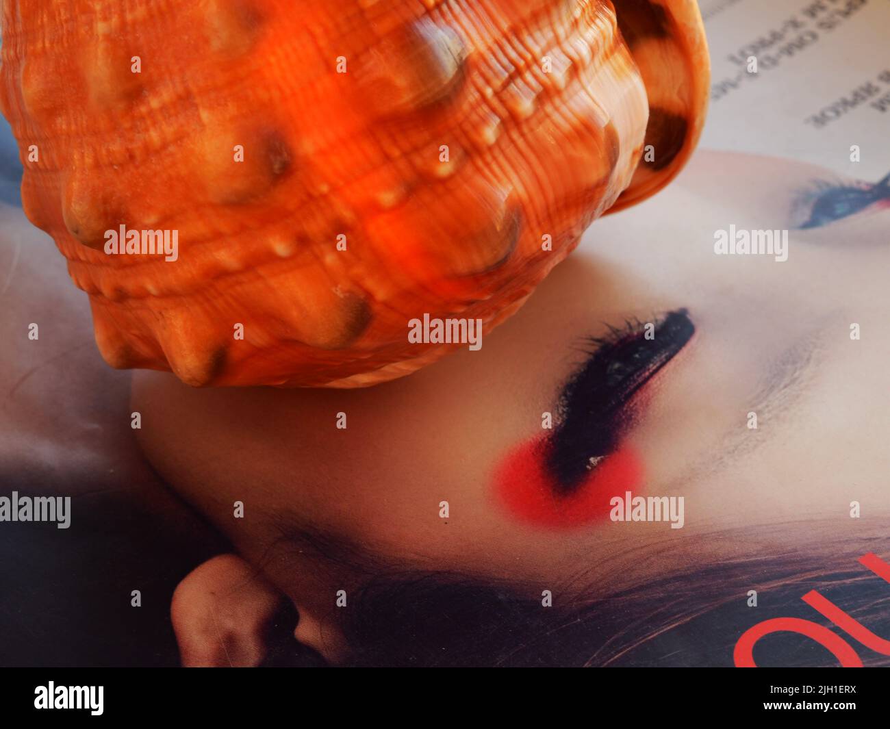 Sea shell cover hi-res stock photography and images - Alamy